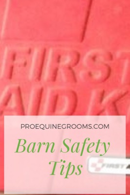 Pro Equine Grooms - Barn Safety