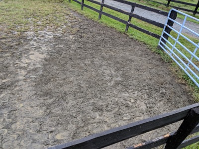 Pro Equine Grooms - How to Get Your Horse’s Dry Lot Ready for Winter