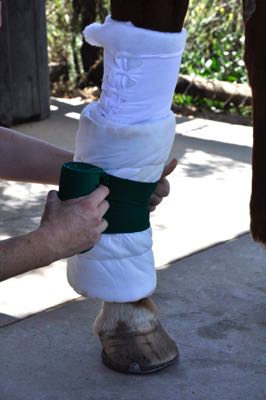 Pro Equine Grooms - Vet Kits