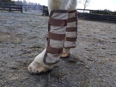 Pro Equine Grooms - Horses That Stomp - Why They Do It and What You Can ...