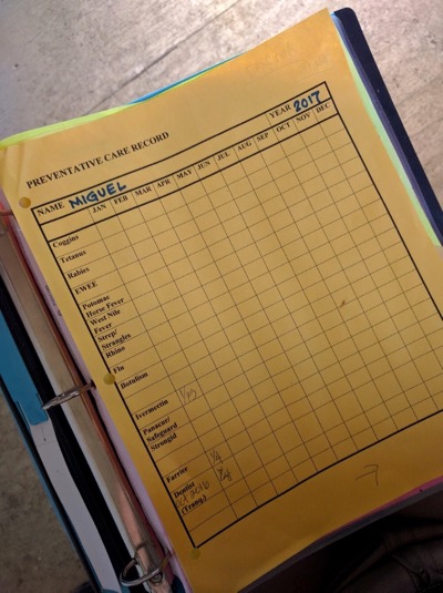 Pro Equine Grooms - Horse Health Record Keeping - Easy Ways to Record ...