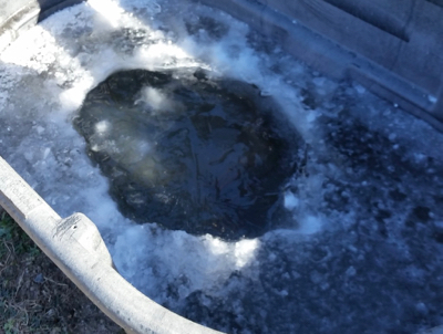 Pro Equine Grooms - How to Keep Water Buckets From Freezing at the Barn