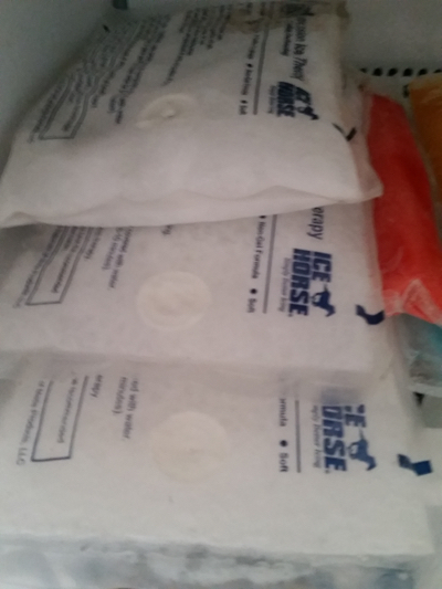 Pro Equine Grooms - Therapeutic Cold Treatments - Ice Packs versus Cold ...