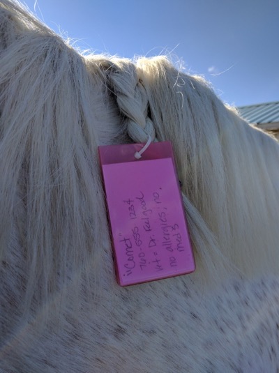 Pro Equine Grooms - How to Mark Your Horse For a Trip or Emergency
