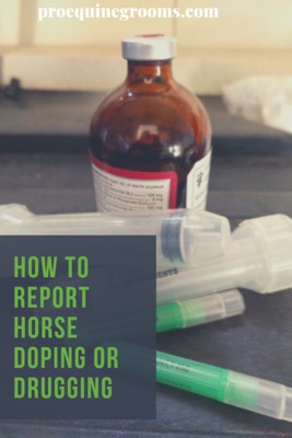 Pro Equine Grooms - How to Report Horse Drugging or Doping