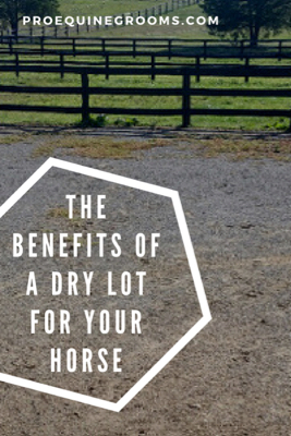 Pro Equine Grooms - The Benefits of Dry Lots as Turn Out!