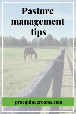 Pro Equine Grooms - Horse Pasture Management Basics