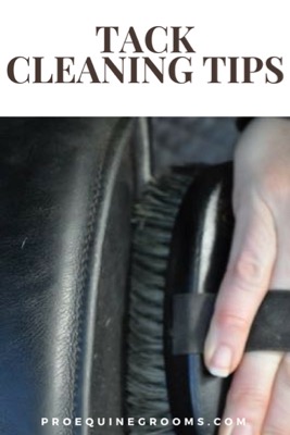Pro Equine Grooms - Cleaning Your Horse's Tack