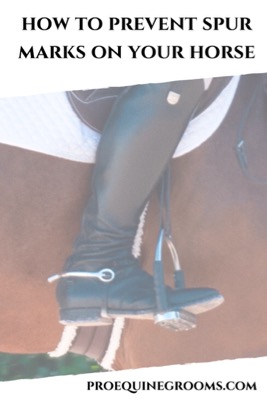 Pro Equine Grooms - What to do About Spur Marks on Your Horse's Side