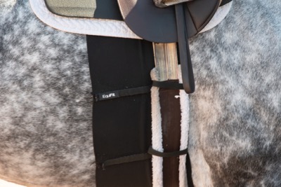 Pro Equine Grooms - What to do About Spur Marks on Your Horse's Side