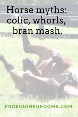 Pro Equine Grooms - More Horse Myth Busting - Colic, Bran Mashes, Mud ...