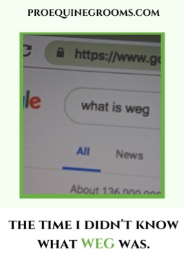 Pro Equine Grooms - About That Time I Didn't Know What WEG Was