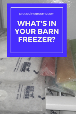 Pro Equine Grooms - The Horse Barn Fridge - Necessities and Luxuries