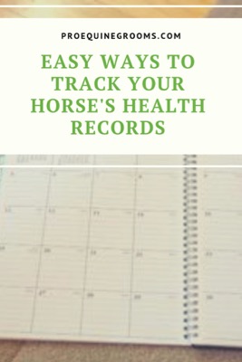 Pro Equine Grooms - Horse Health Record Keeping - Easy Ways to Record ...
