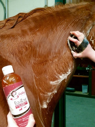 Pro Equine Grooms - Pick the Best Shampoo For Your Horse