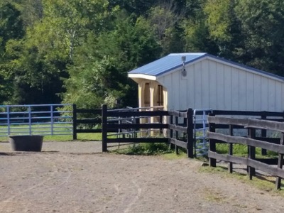 Pro Equine Grooms - The Benefits of Dry Lots as Turn Out for Horses