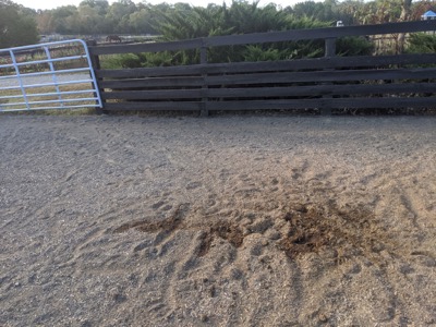 Pro Equine Grooms - How to Get Your Horse’s Dry Lot Ready for Winter