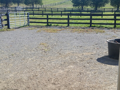 Pro Equine Grooms - The Benefits of Dry Lots as Turn Out!